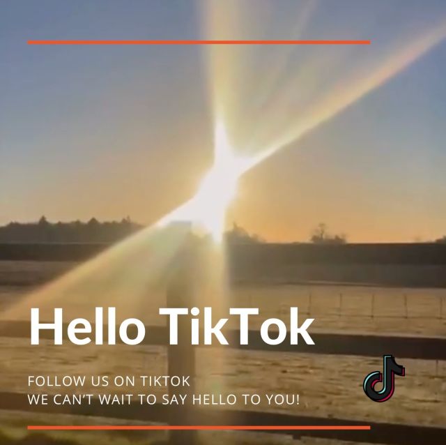 Contact Us - Priory Law